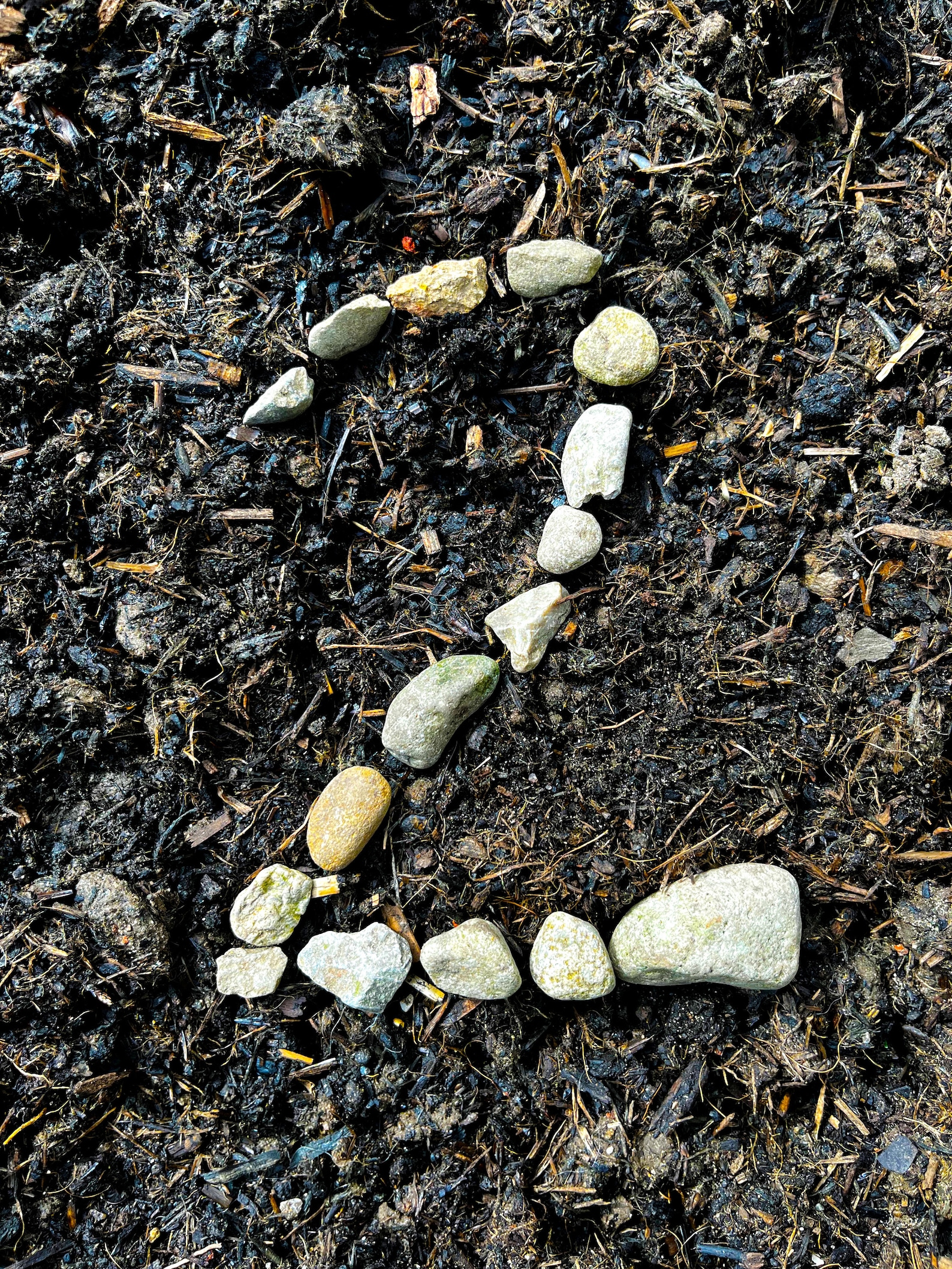 Curious Nature Natural Numbers. Learning Resource Digital Print - Etsy