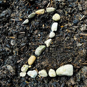 Curious Nature Natural Numbers. Learning Resource ~ Digital Print - Etsy