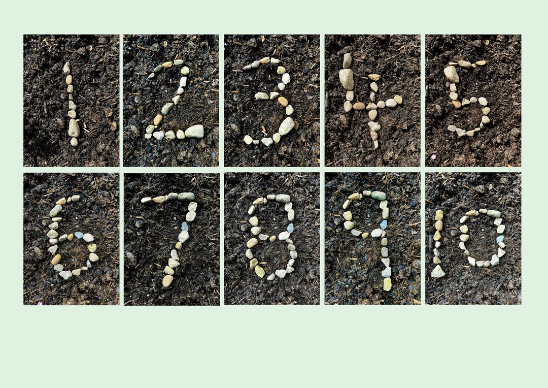 Curious Nature Natural Numbers. Learning Resource ~ Digital Print - Etsy