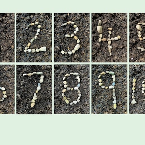 Curious Nature Natural Numbers. Learning Resource ~ Digital Print - Etsy