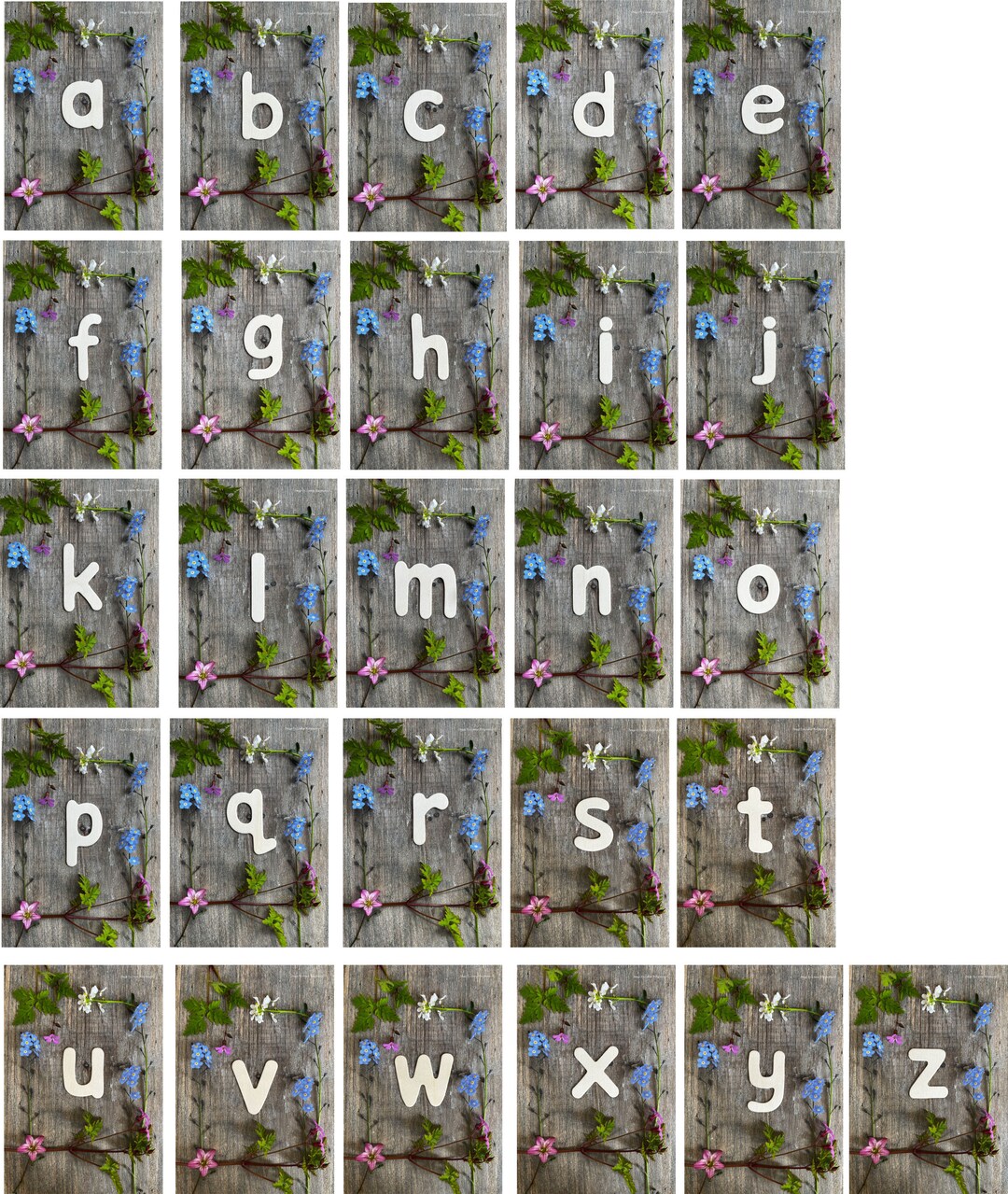 Curious Nature Lower Case Alphabet Flower Posters. Learning Resource ...