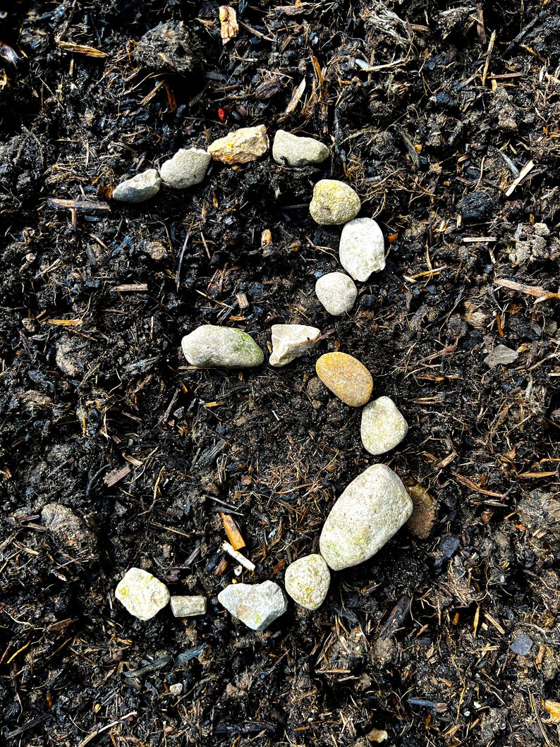 Curious Nature Natural Numbers. Learning Resource ~ Digital Print - Etsy