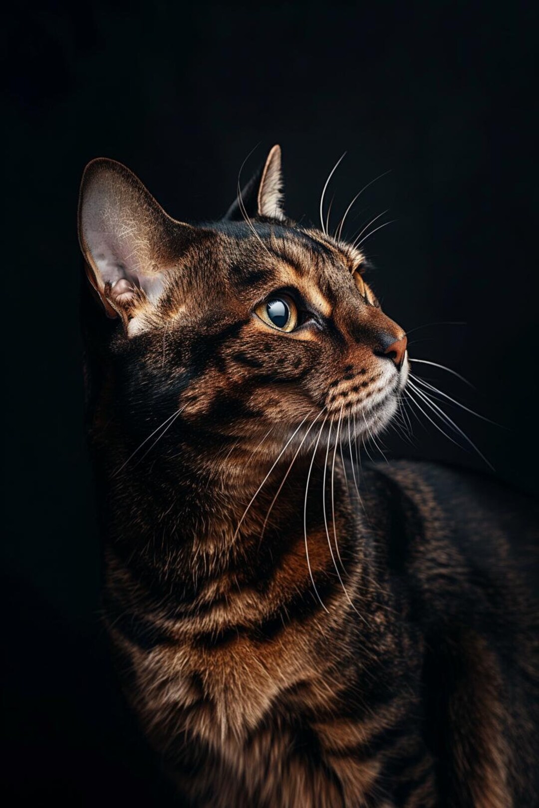 Cat | Bengal | Animal | Digital Download | Home Decor | High Quality ...