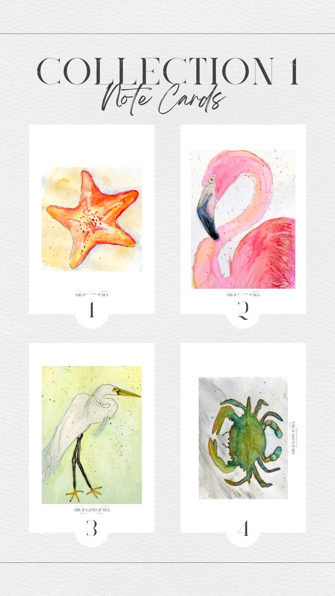 Collection 1 Note Cards flamingo, Starfish, Egret, Blue Crab - Etsy