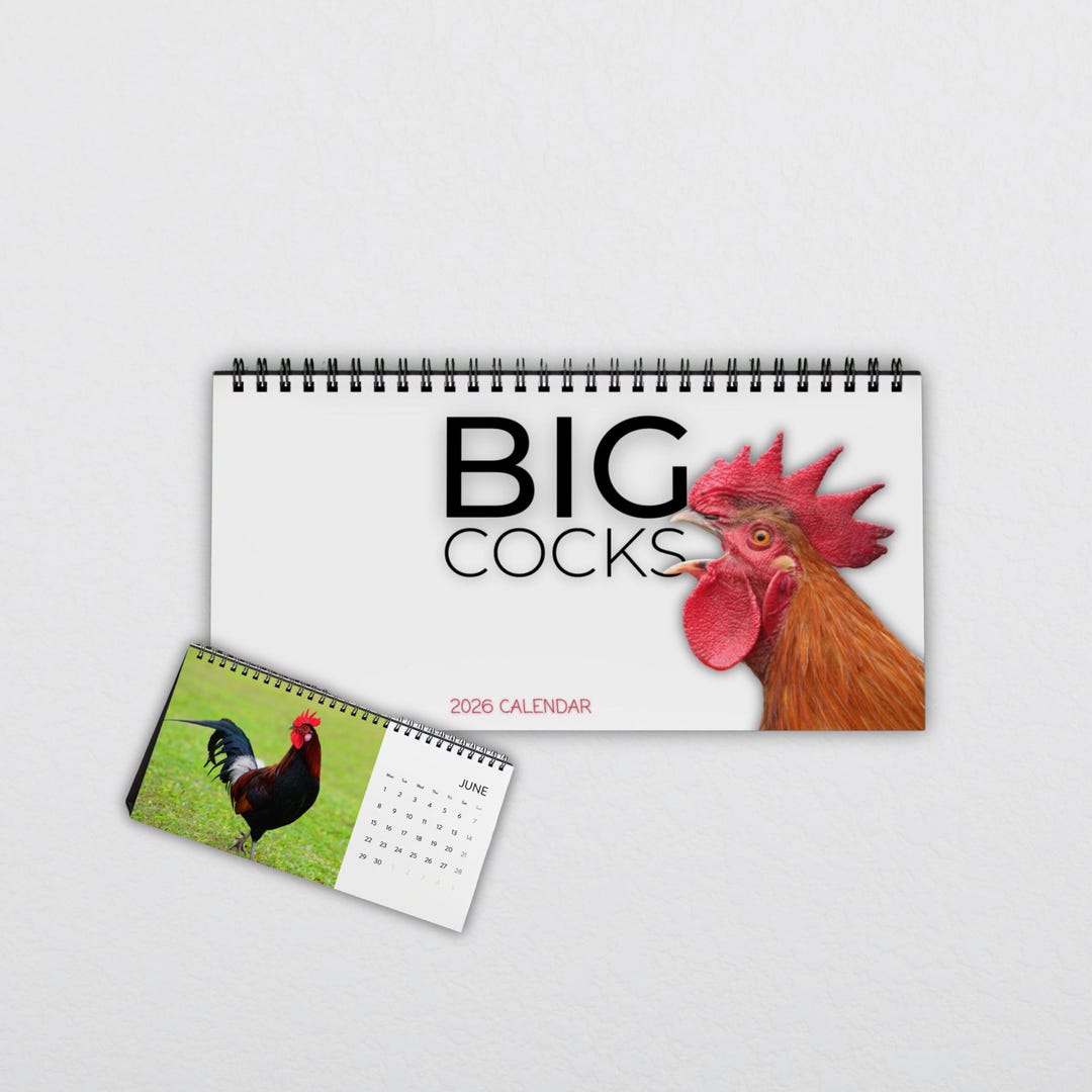 Funny Desk Calendar 2026 – Rooster Adult Humor Calendar Cheeky Prank ...