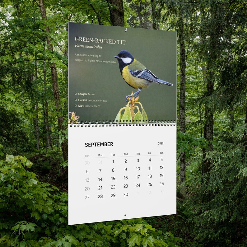 Funny Gag Gift 2026 Calendar for Him – Adult Humor Wall Calendar ...