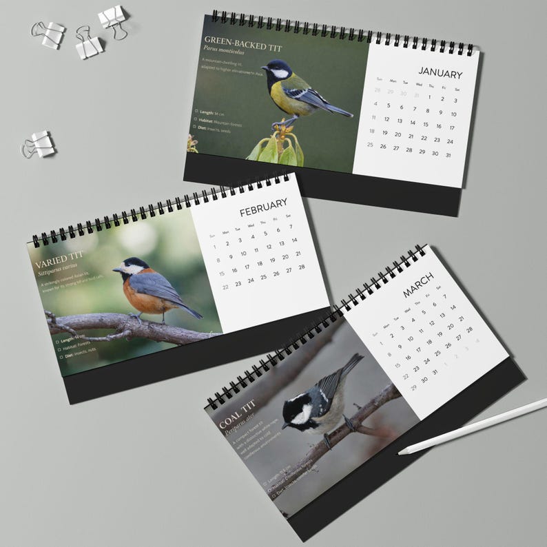 2026 Funny Calendars Adult Humor Wall Calendar Rude Gag Gift for Him ...