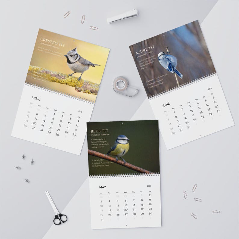 2026 Funny Calendars Adult Humor Wall Calendar Rude Gag Gift for Him ...