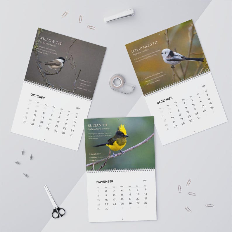 Funny 2026 Calendar Adults Humor Wall Calendar Inappropriate Gag Gifts ...