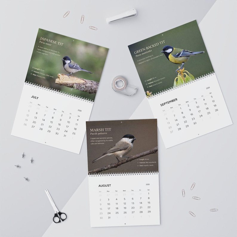 Funny Gag Gift 2026 Calendar for Him – Adult Humor Wall Calendar ...