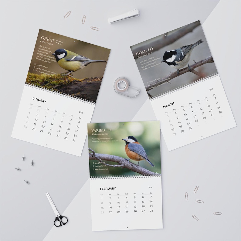 Funny 2026 Calendar Adults Humor Wall Calendar Inappropriate Gag Gifts ...
