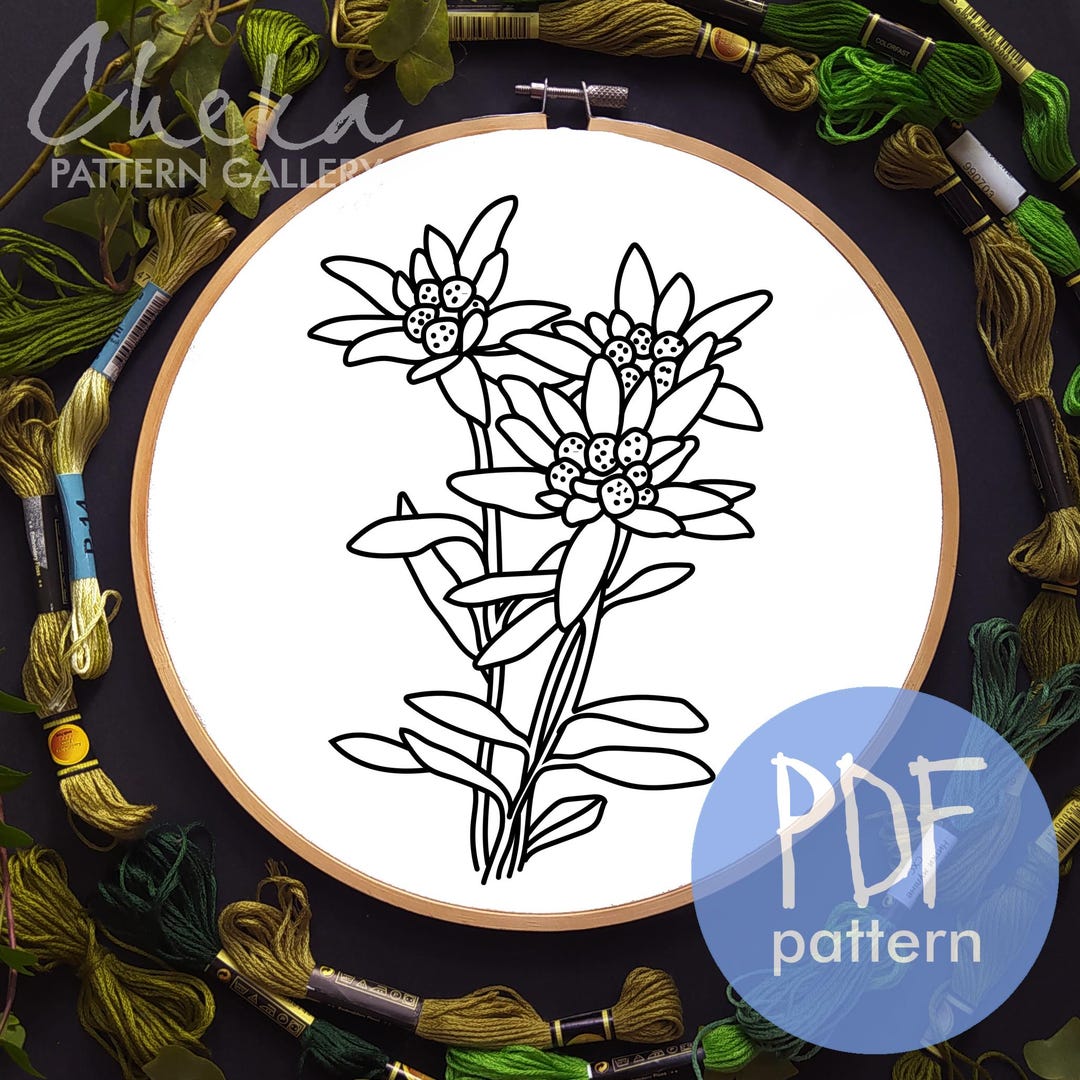 Edelweiss Hand Embroidery Pattern. Edelweiss Design, Beautiful Mountain ...