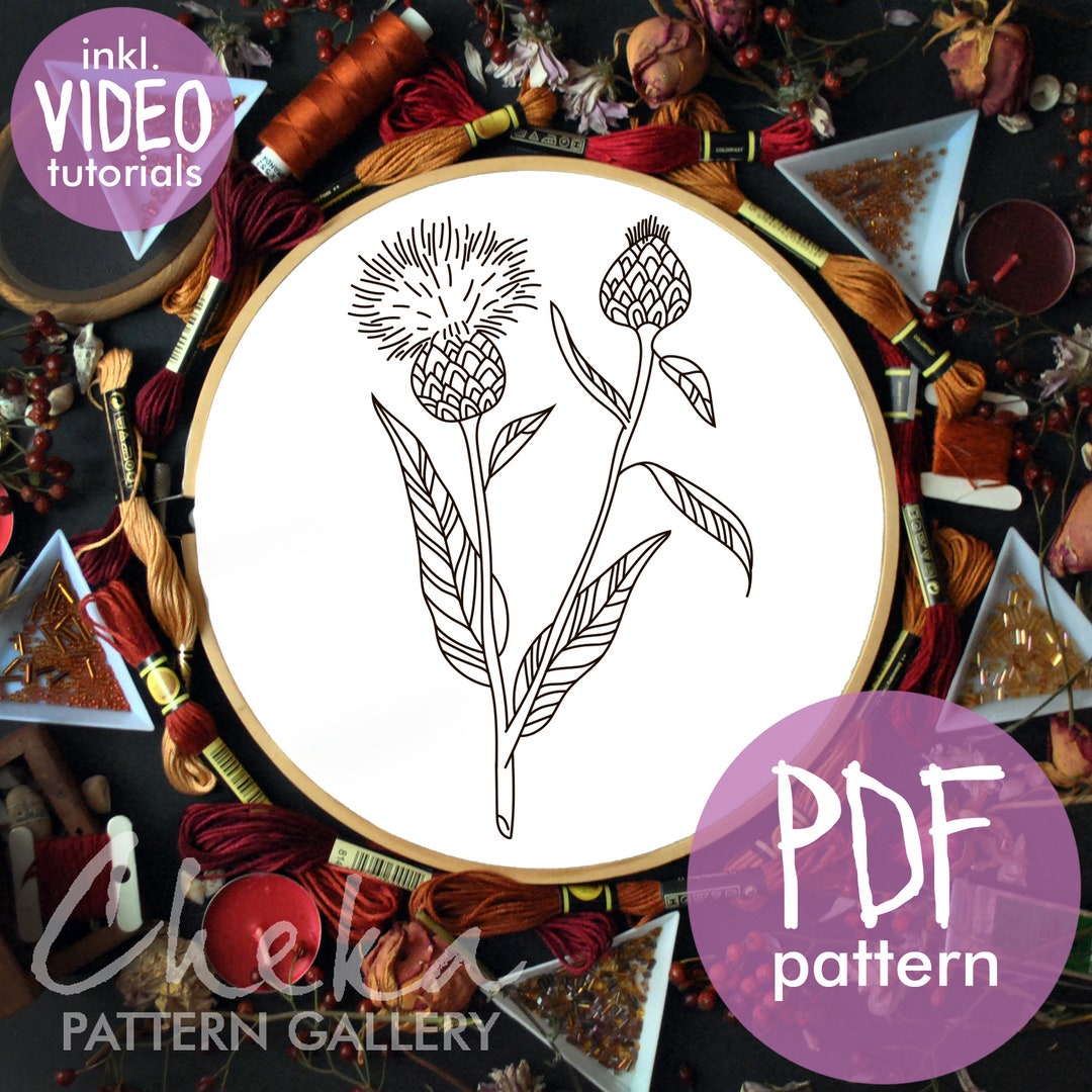 Cornflower, Embroidery Pattern. Beautiful Garden Cornflower, Floral ...