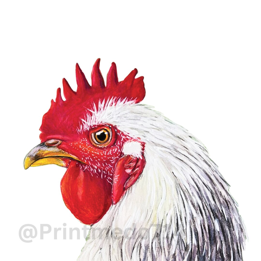 White Chicken Hand Painted Art Instant Download - Etsy