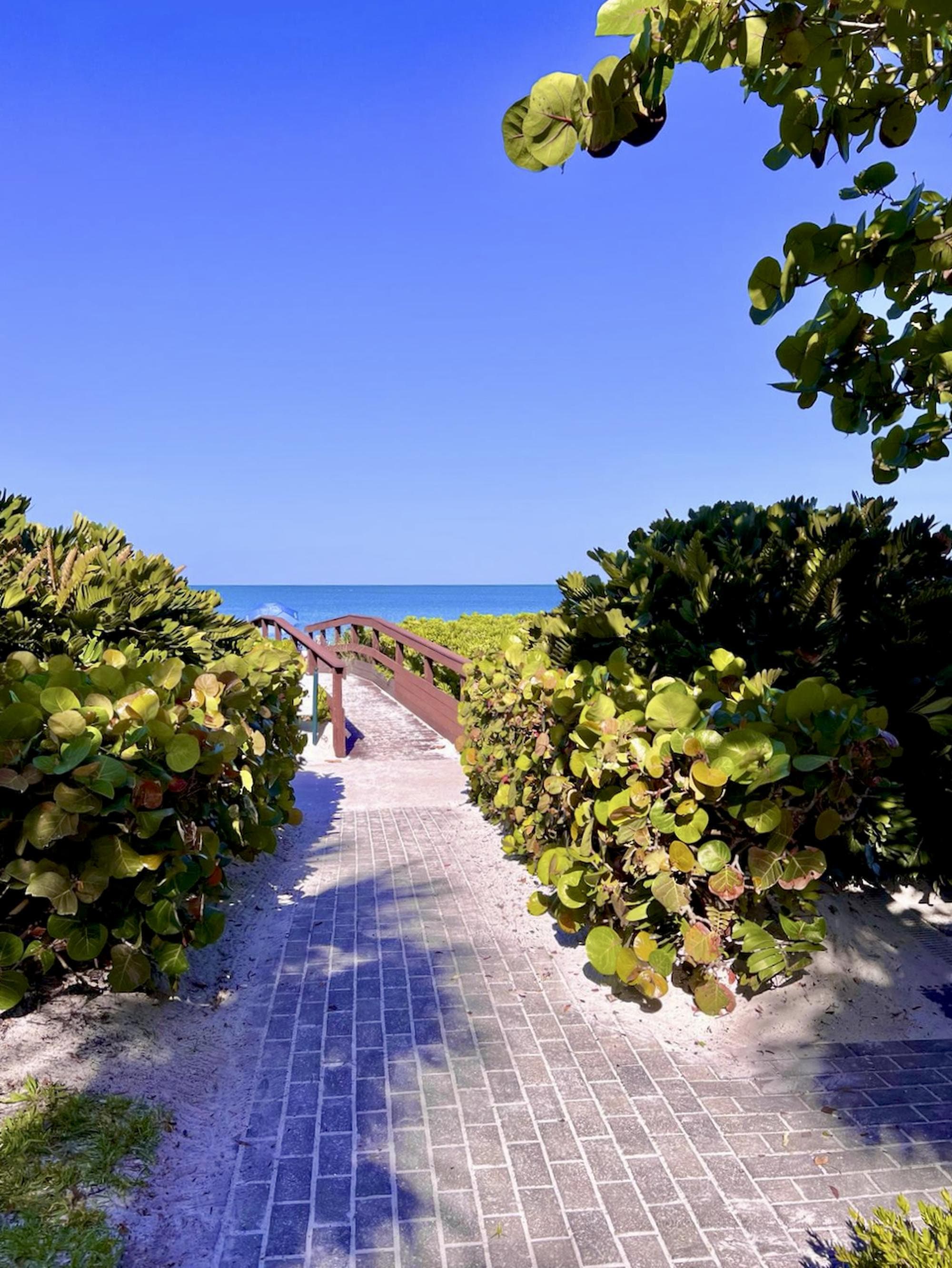 Beach Pathway Secluded Tropical Escape Ocean View Serenity Photograph ...