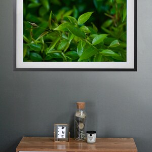 Lush Green Foliage, Nature Photography, Botanical Wall Art, Leaf ...