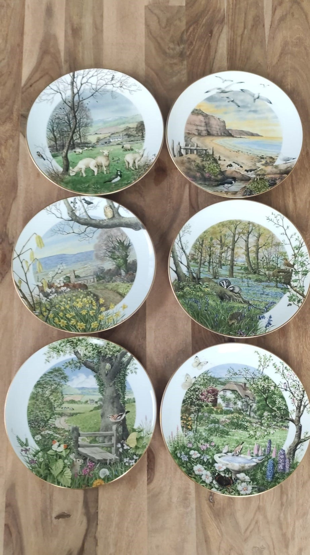 6 Peter Barrett Worcester Country Life Plates - Etsy