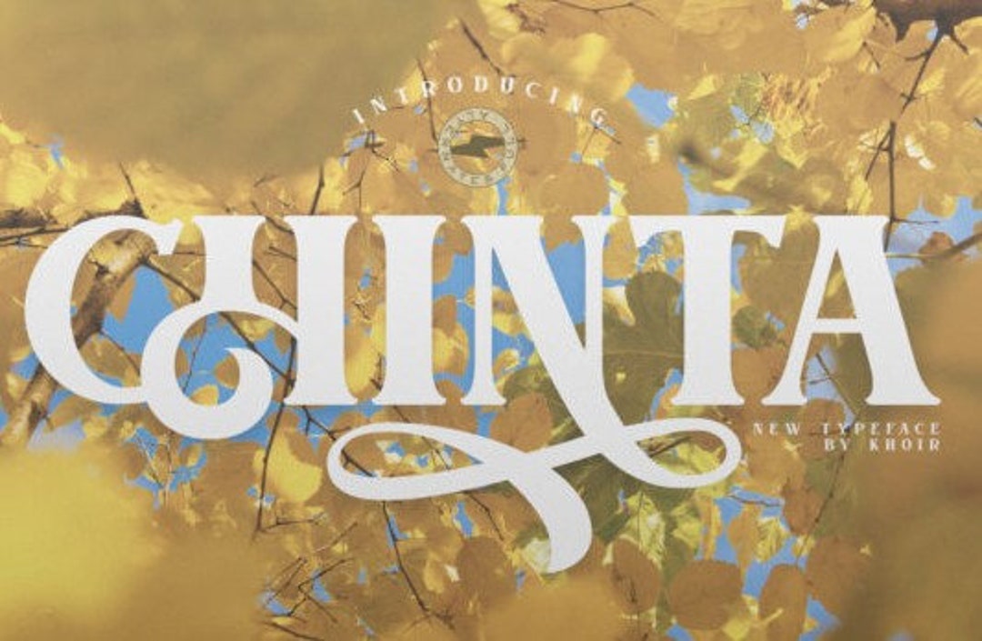 Chinta Font, Cute Font, Note Font, Handwritten Font, Branding Font ...