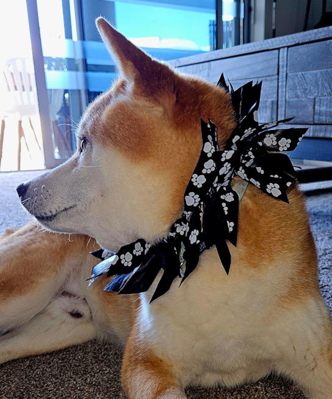 Versatile Neck Ware, Pets and People, Team Color Neck Ware, Holiday ...