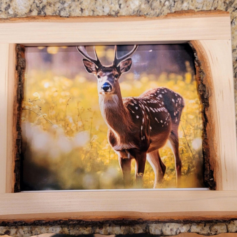 Edge Pics - Etsy
