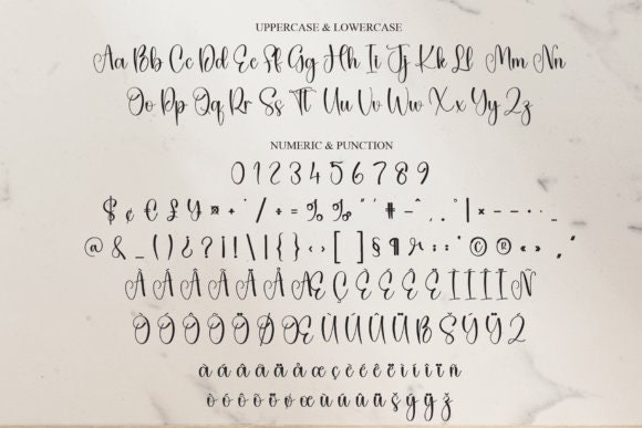 Simplify Font, Unique Handwritten Font, Classic Serif Font, Retro ...