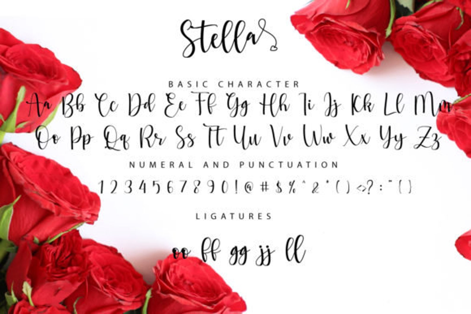 Stella Font, Font With Tails, Swirly Font, Handwritten Font, Branding ...