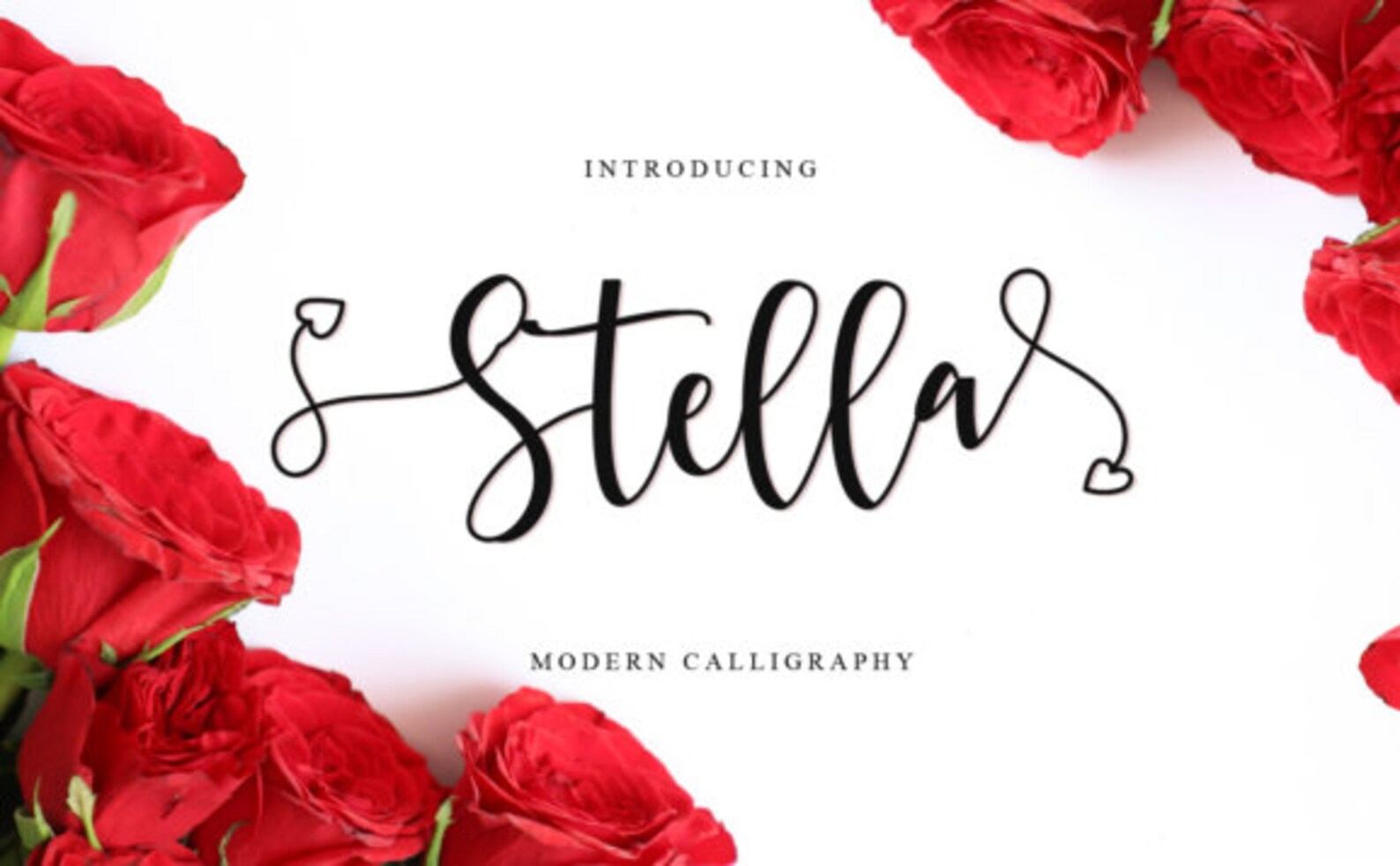 Stella Font, Font With Tails, Swirly Font, Handwritten Font, Branding ...
