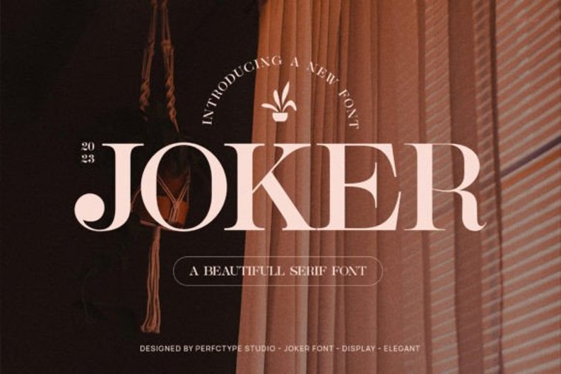Joker Font, Wedding Script Font, Modern Font, Display Font, Cricut Font ...