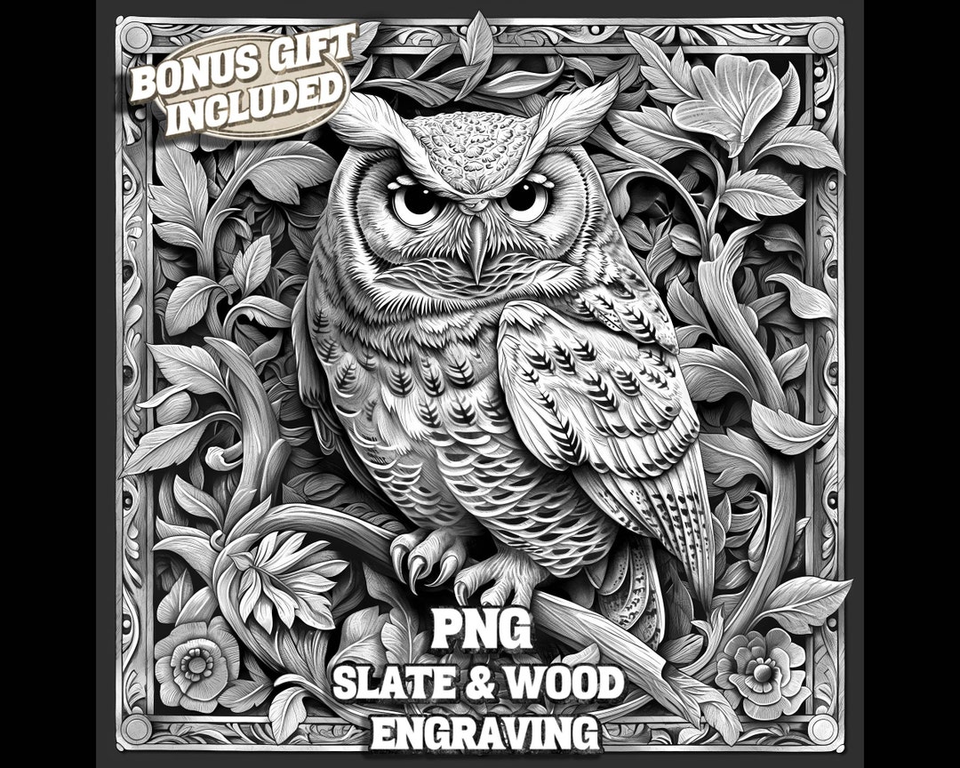 Owl 3D Illusion PNG Laser File, Bird Engraving PNG Slate Coaster ...