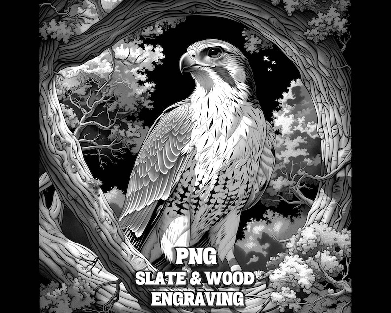 Falcon Laser Burn PNG, Anime Style Engrave File, Slate Coaster Engraved ...