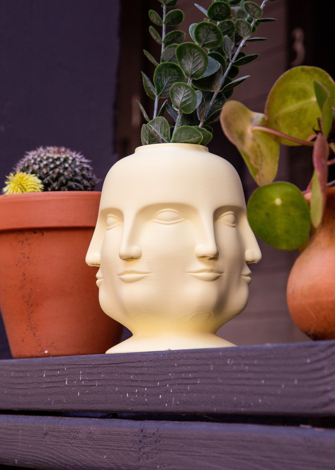 Polyface Planter Vase - Lady Face Sculpture Flower Pot - Unique ...