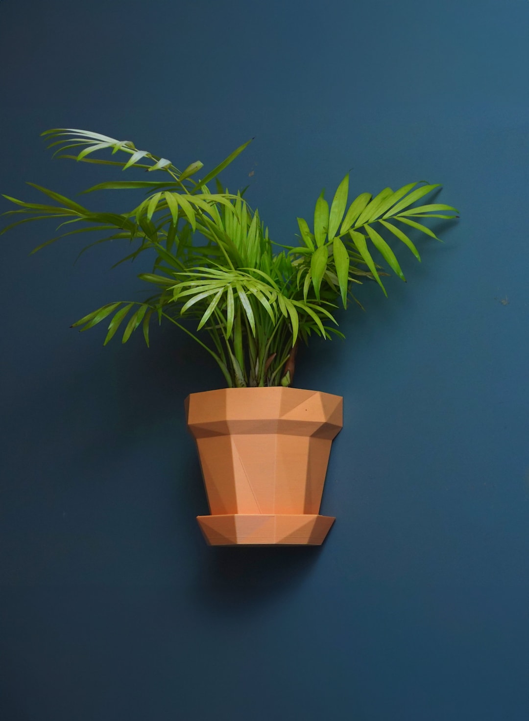 Wall Mounted Planter Pot, Funky Geometric Vase for Succulents & Flowers ...