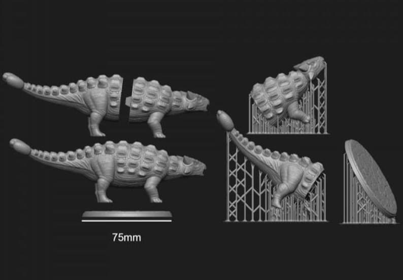 Ankylosaurus : 32mm Scale Dinosaur - Designed by Eli 3D - Etsy