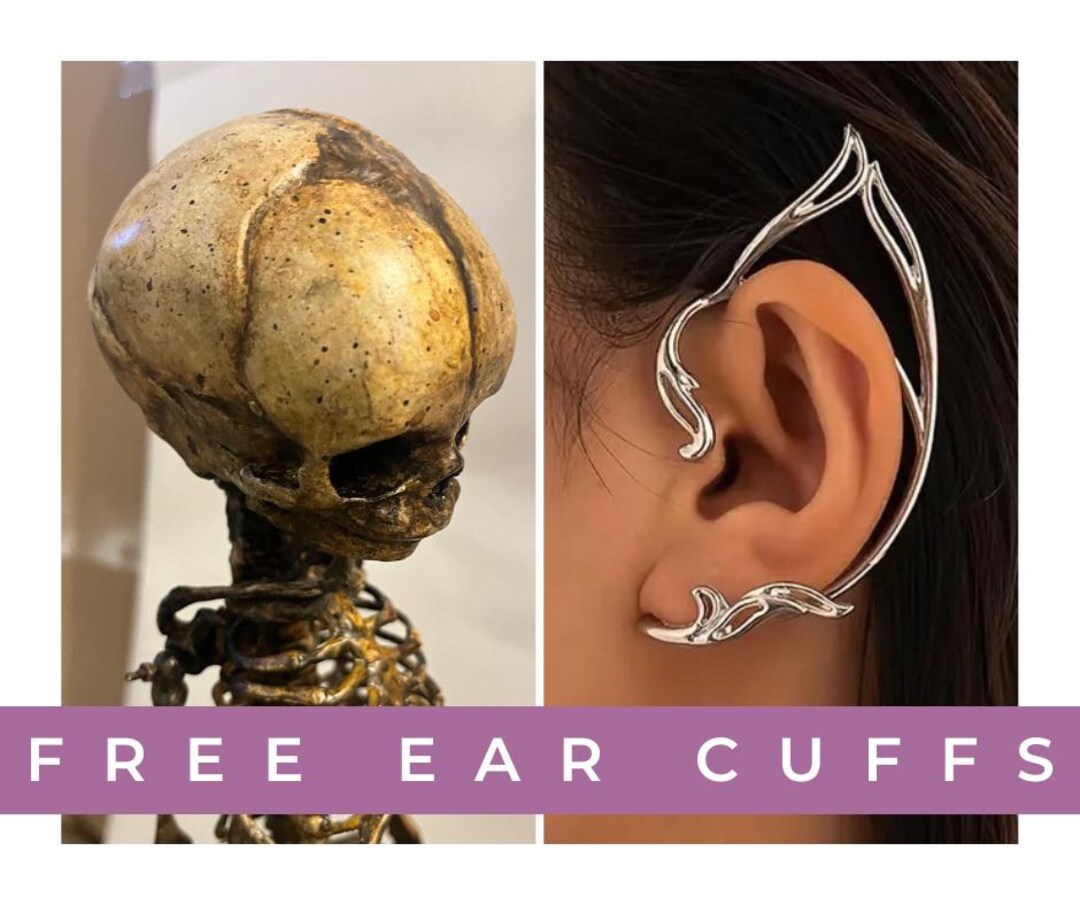 CUSTOM POSE Human Skeleton Art Painted Model, Fetal Specimen Medical ...