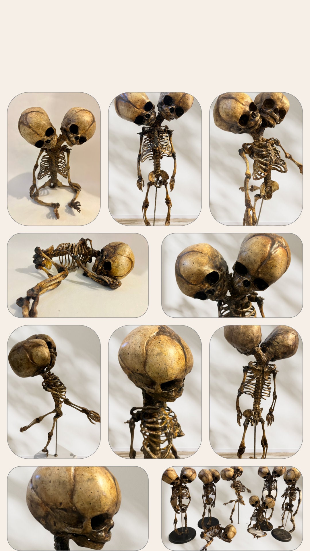 CUSTOM POSE Skeleton Human Replica Art Painted Model, Fetal Specimen ...