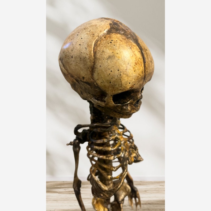 Medical Oddities - Etsy