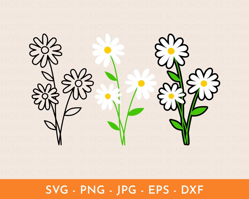 Daisy SVG, Daisy Flower Svg, Retro Daisy Png, Summer Svg, Spring Svg ...