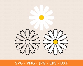Daisy SVG Bundle, Daisy Flower Svg, Retro Daisy Png, Summer & Spring ...