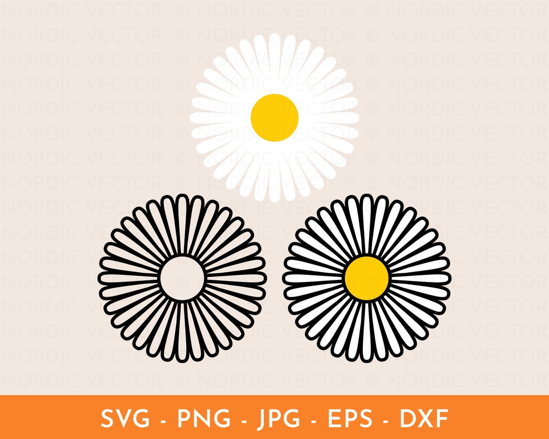 Daisy SVG, Daisy Flower Svg, Retro Daisy Png, Summer Svg, Spring Svg ...