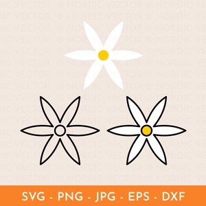 Daisy SVG, Daisy Flower Svg, Retro Daisy Png, Summer Svg, Spring Svg ...