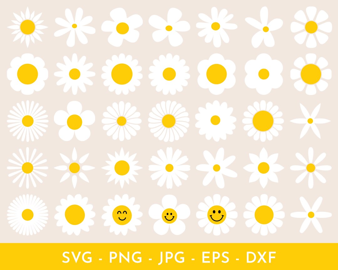 Daisy SVG Bundle, Daisy Flower Svg, Retro Daisy Png, Summer & Spring ...