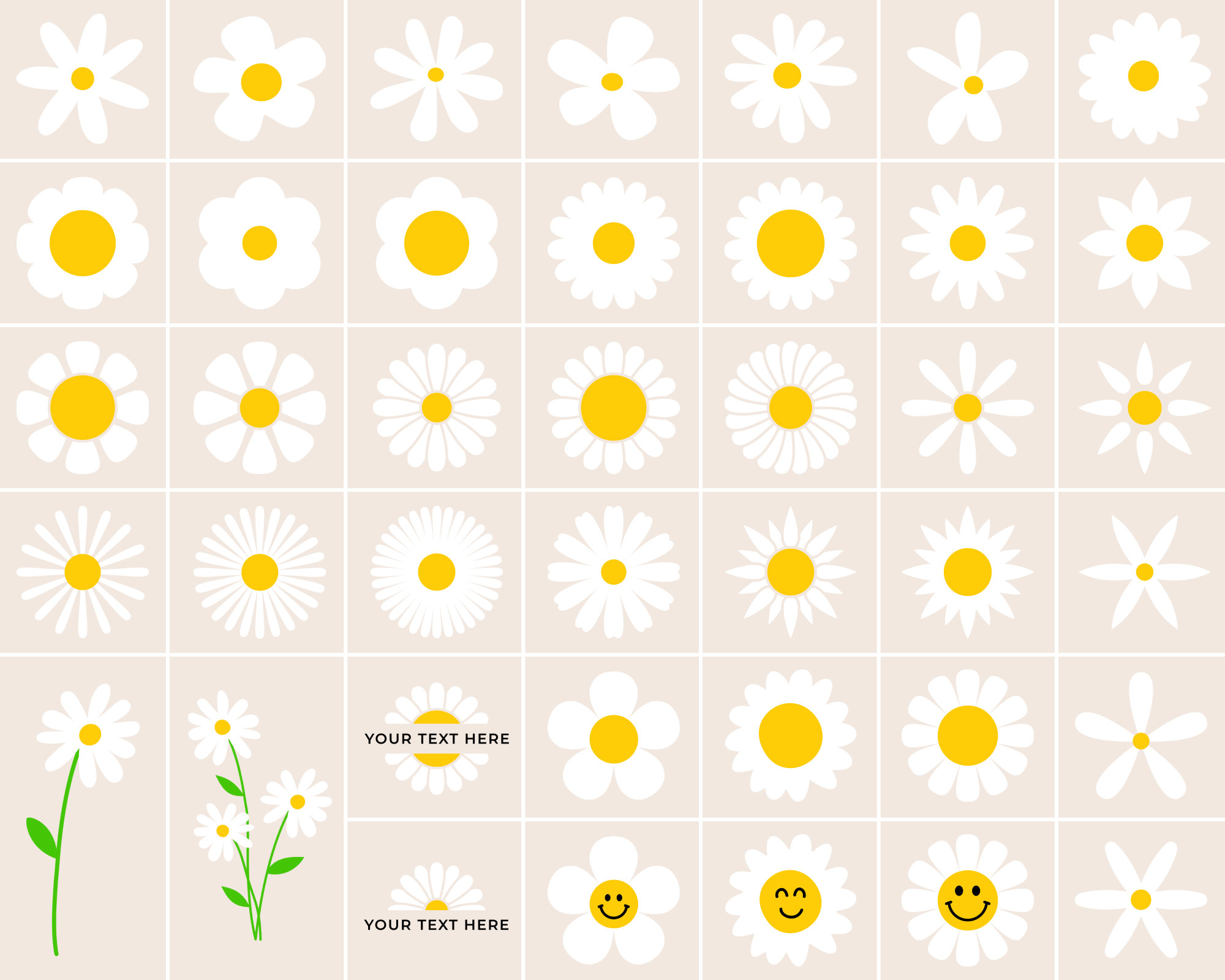Daisy SVG Bundle, Daisy Flower Svg, Retro Daisy Png, Summer & Spring ...