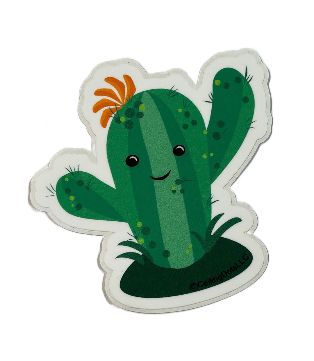 Cactus Smile Sticker, Stickers, Decals, Labels, Happy Cactus, Cute - Etsy