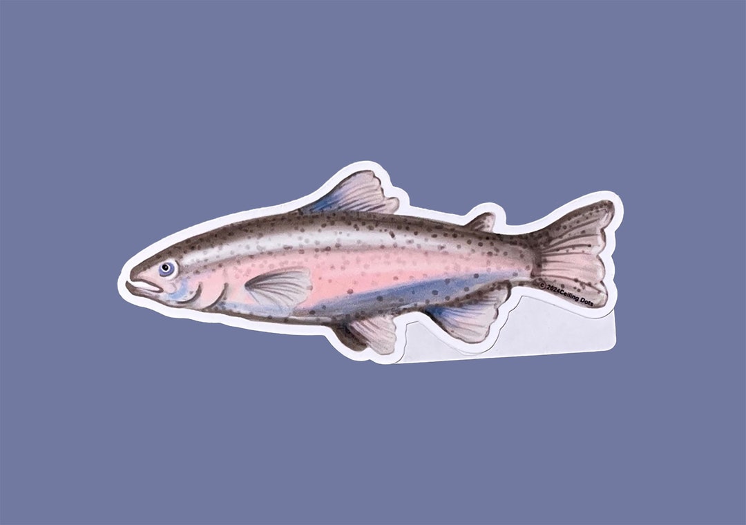 Rainbow Trout Sticker, Fish Decal, Trout Decal, Original Art Fish ...