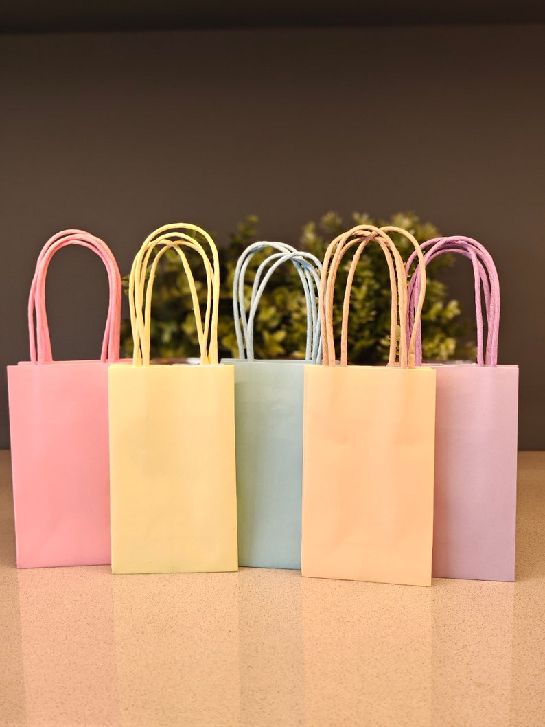 Mini Gift Bag Small Gifting Bags Pastel Small Gift Bags for Party ...