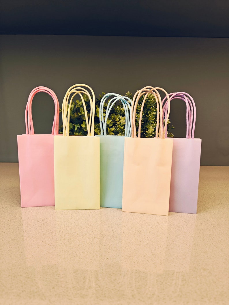 Mini Gift Bag Small Gifting Bags Pastel Small Gift Bags for Party ...