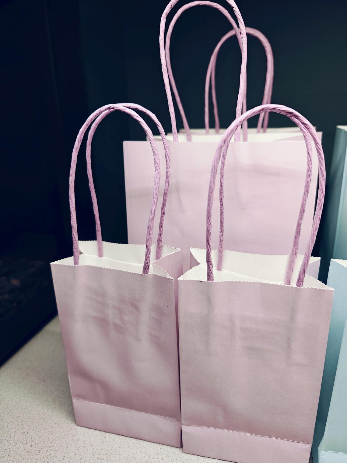 Pastel Paper Gift Bags: Baby Shower Party Favor Bags - Etsy