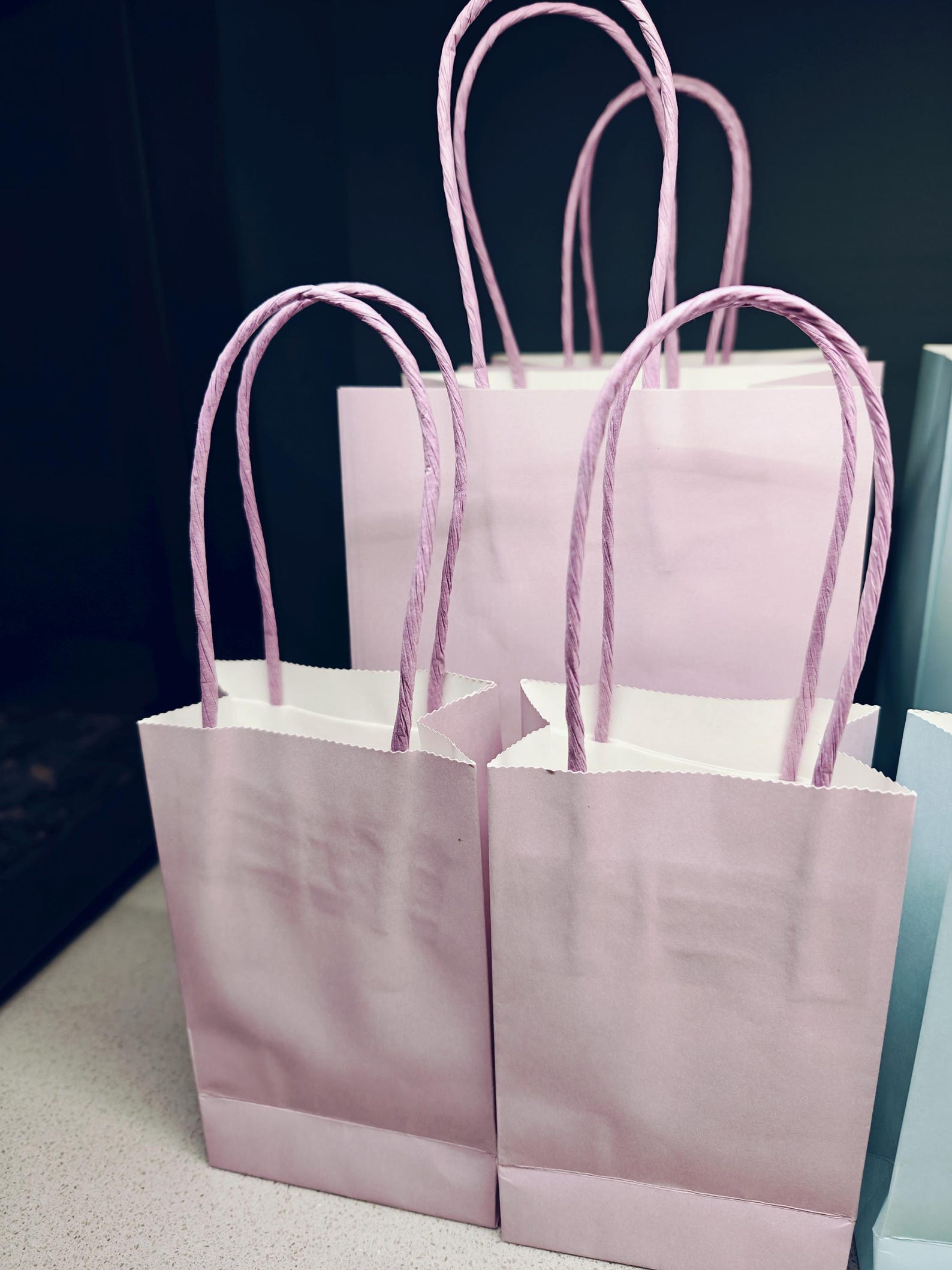 Pastel Paper Gift Bags: Baby Shower Party Favor Bags - Etsy