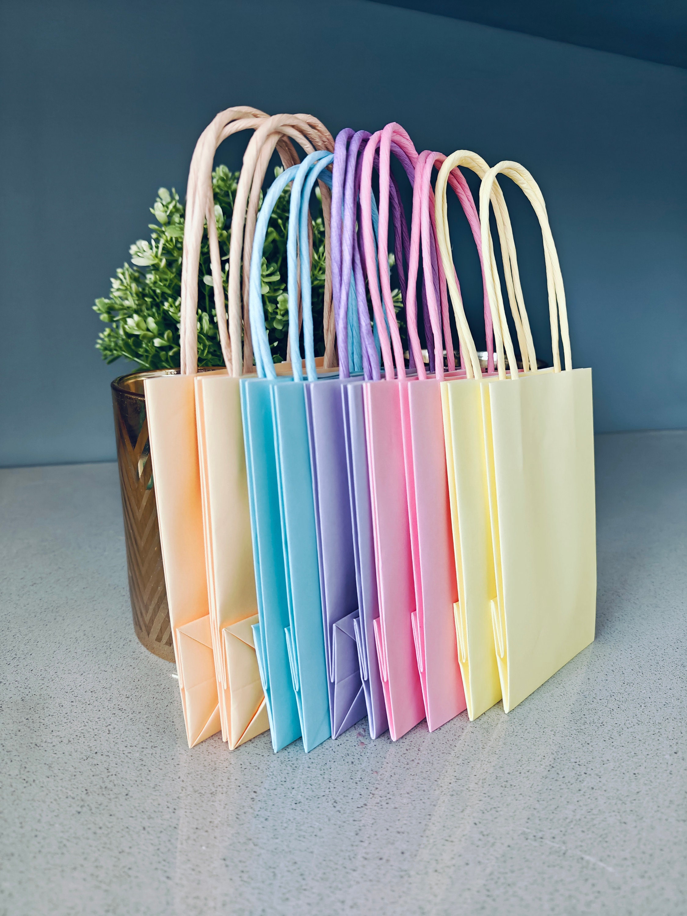 Small Colourful Gift Bags for Party Favour Bags Fancy Cute Small High Quality Gift Bags for Party Supplies Small Bags for Presents Favourbag Etsy Ireland