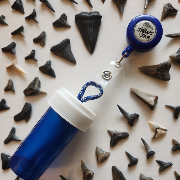 Shark Tooth Display - Etsy